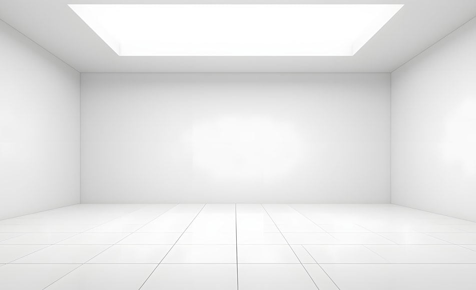 Monetizing the spectrum: improved connectivity through white spaces